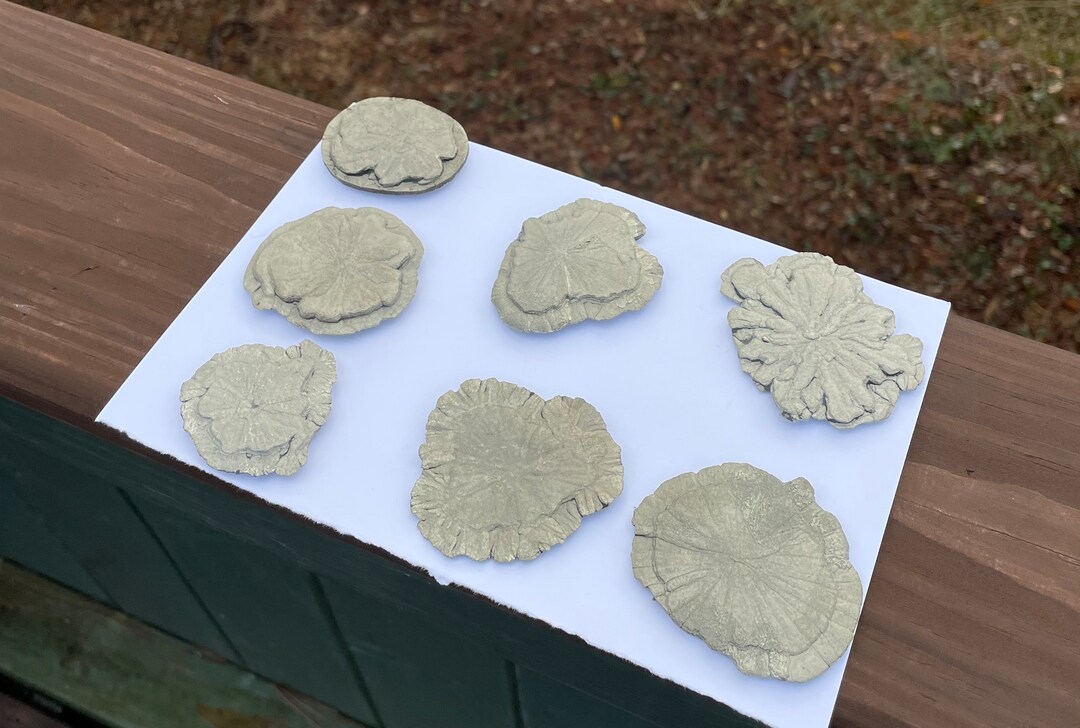 Pyrite Sun Disc - Sulphur Rich - Etsy