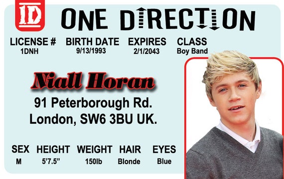 Niall Horan of ONE DIRECTION fun ID Card Drivers License Art ...