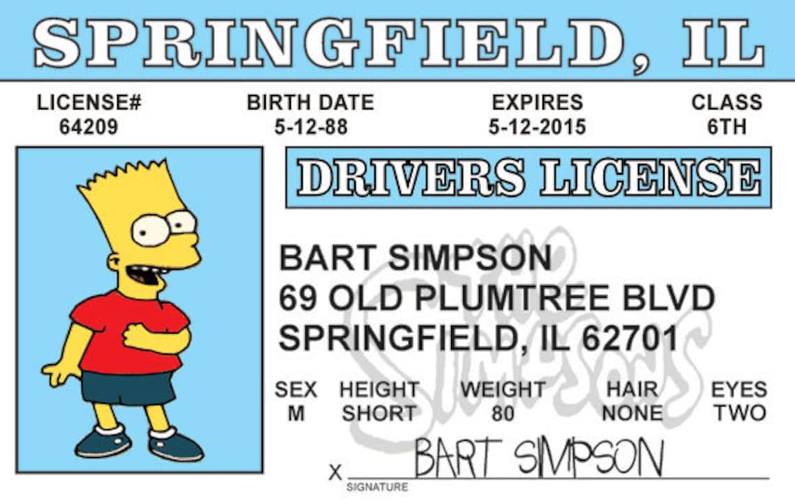 Bart Simpson of the SIMPSONS fun ID Card / Drivers License | Etsy