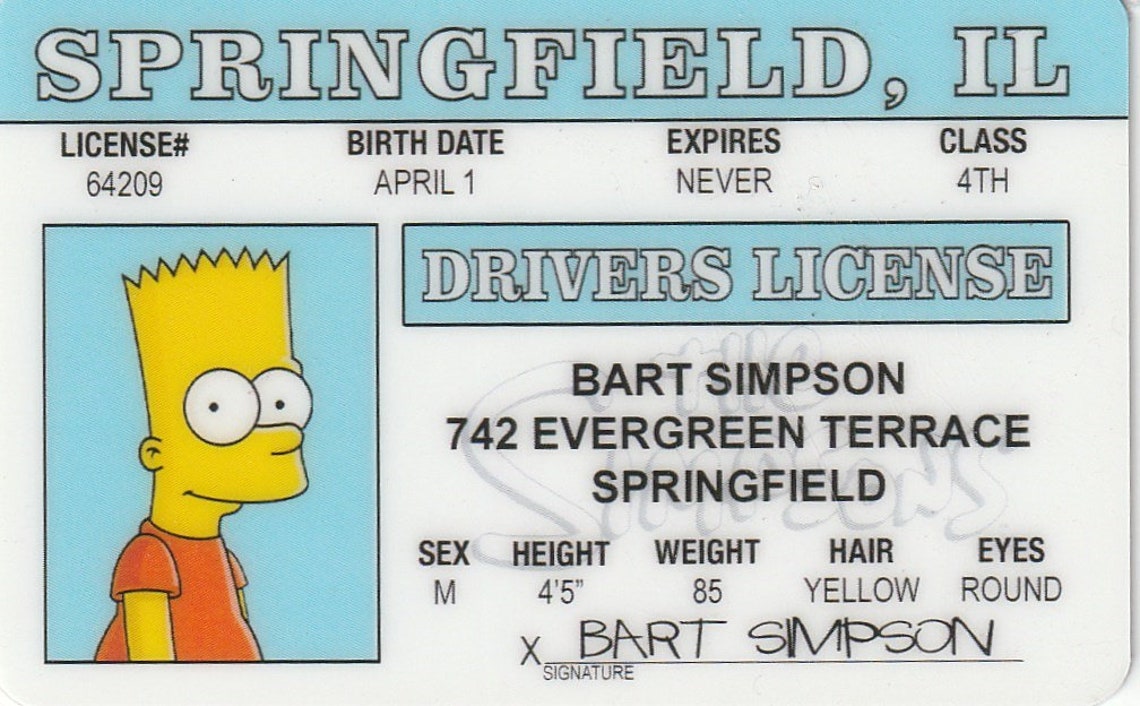 Bart Simpson of the SIMPSONS Fun ID Card / Drivers License | Etsy