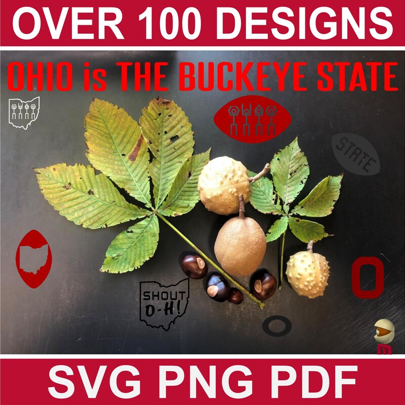 Ohio State Svg - Etsy