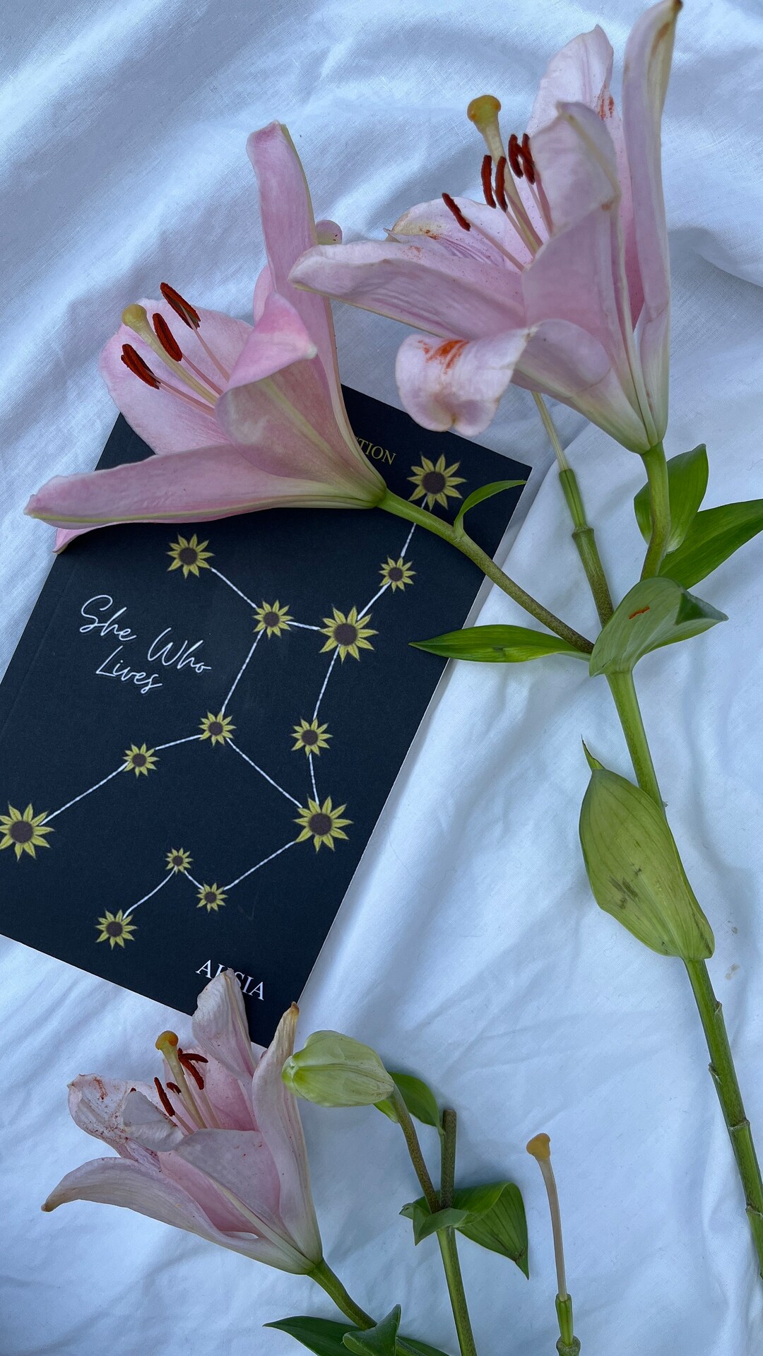 She Who Lives Poetry Collection by Ahsia Patel - Etsy