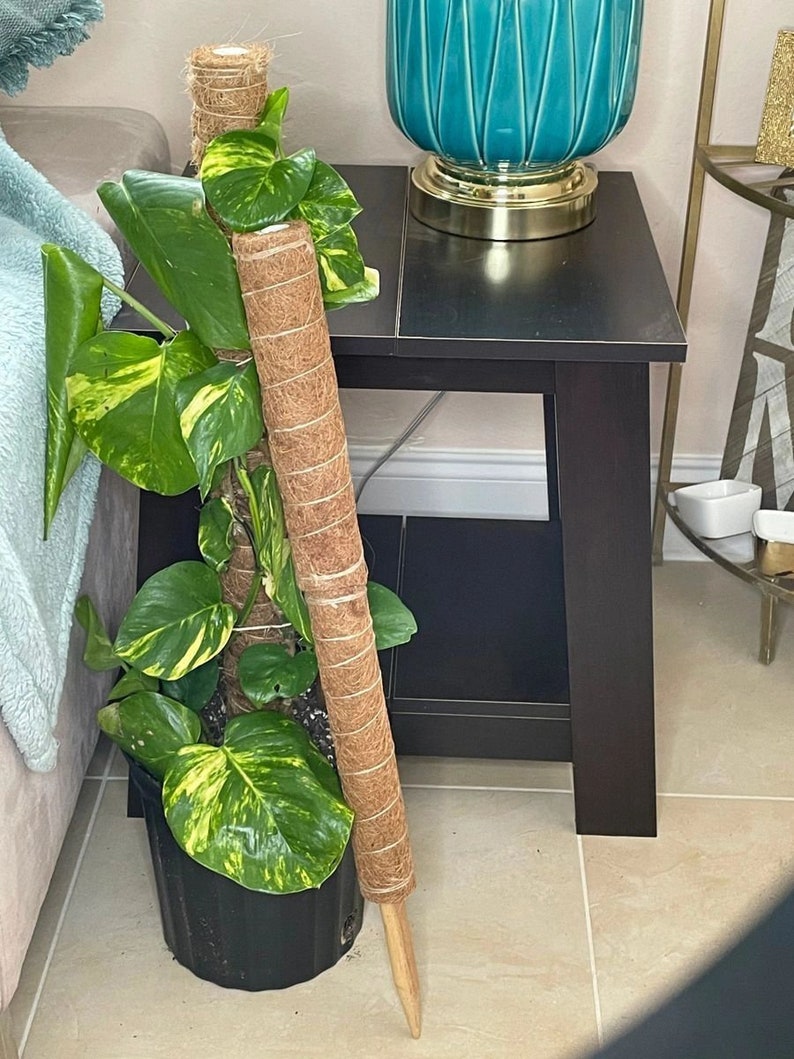 2 Pack Coir Totem Pole Plant Climbing Structure - Etsy