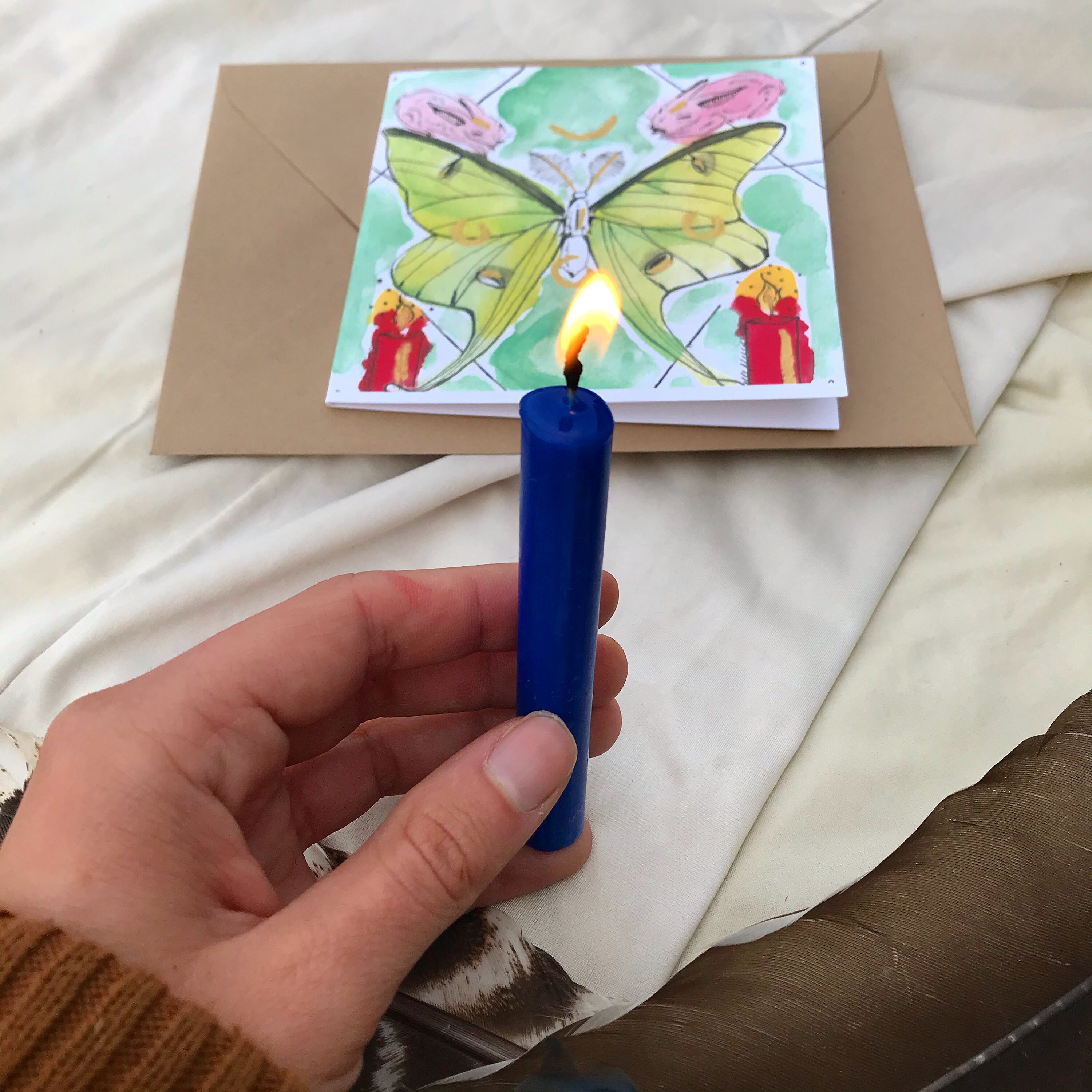 Metamorphosis Set | Etsy