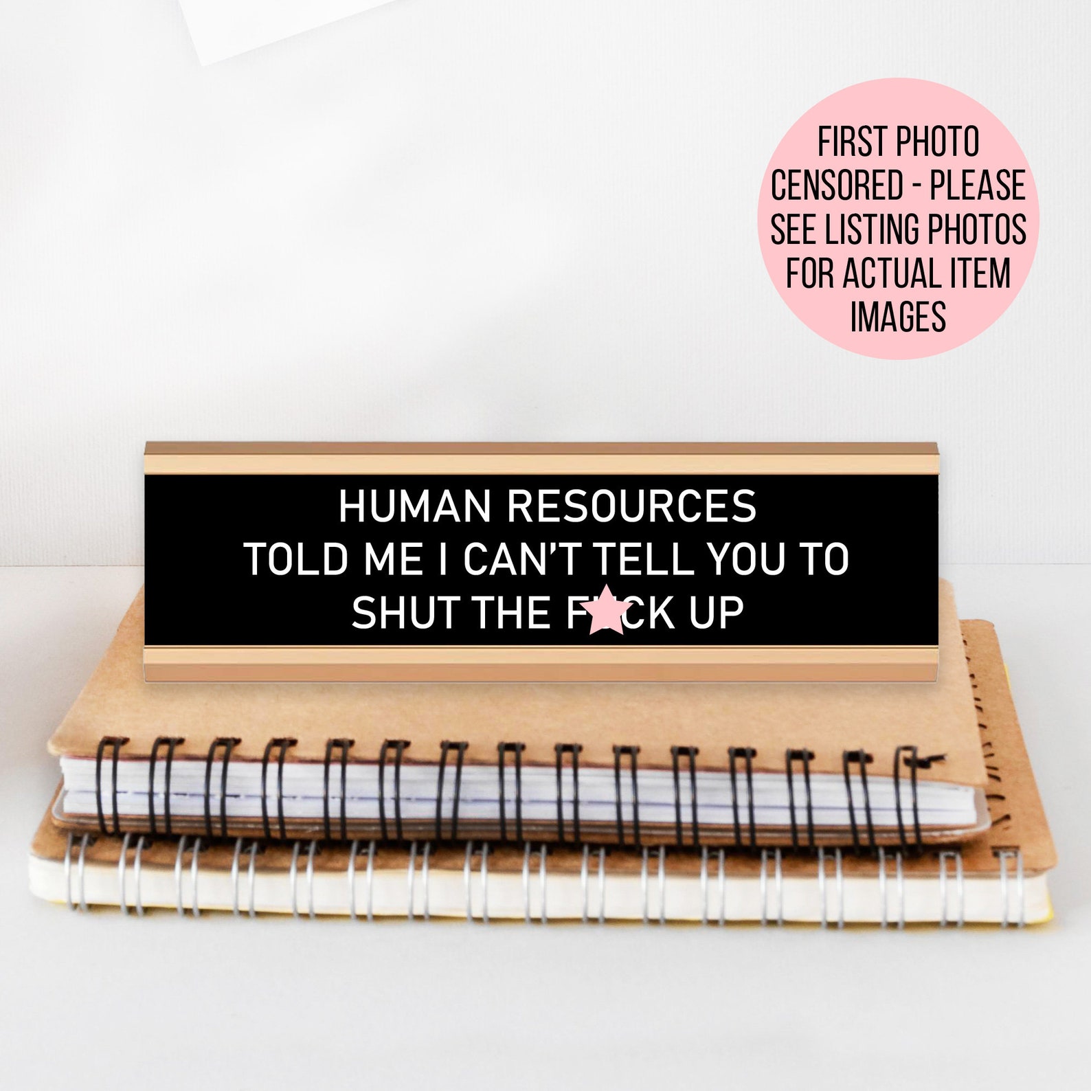 Funny Desk Name Plate, Desk Name Plate, Funny Office Decor, Gift for ...