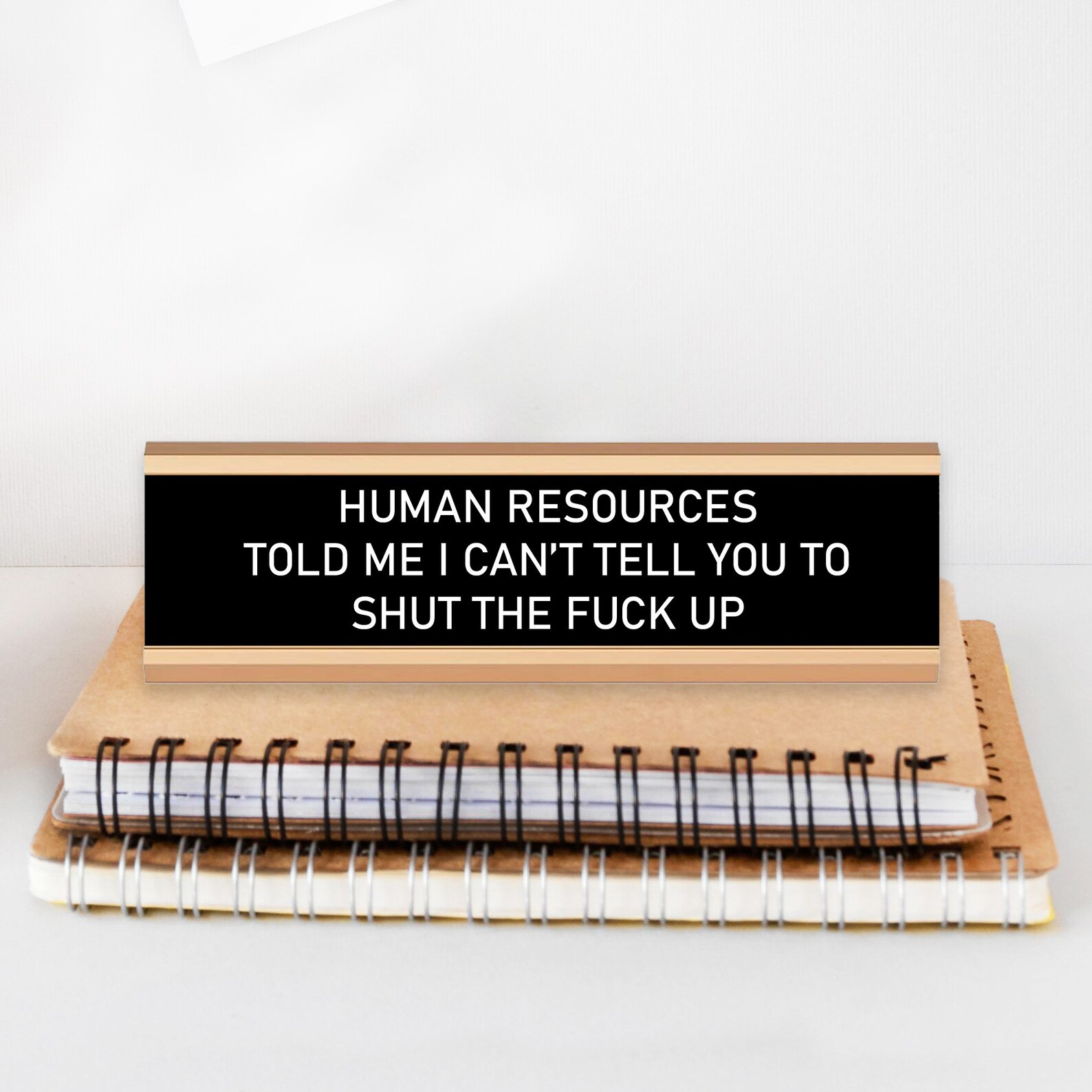 Funny Desk Name Plate, Desk Name Plate, Funny Office Decor, Gift for ...