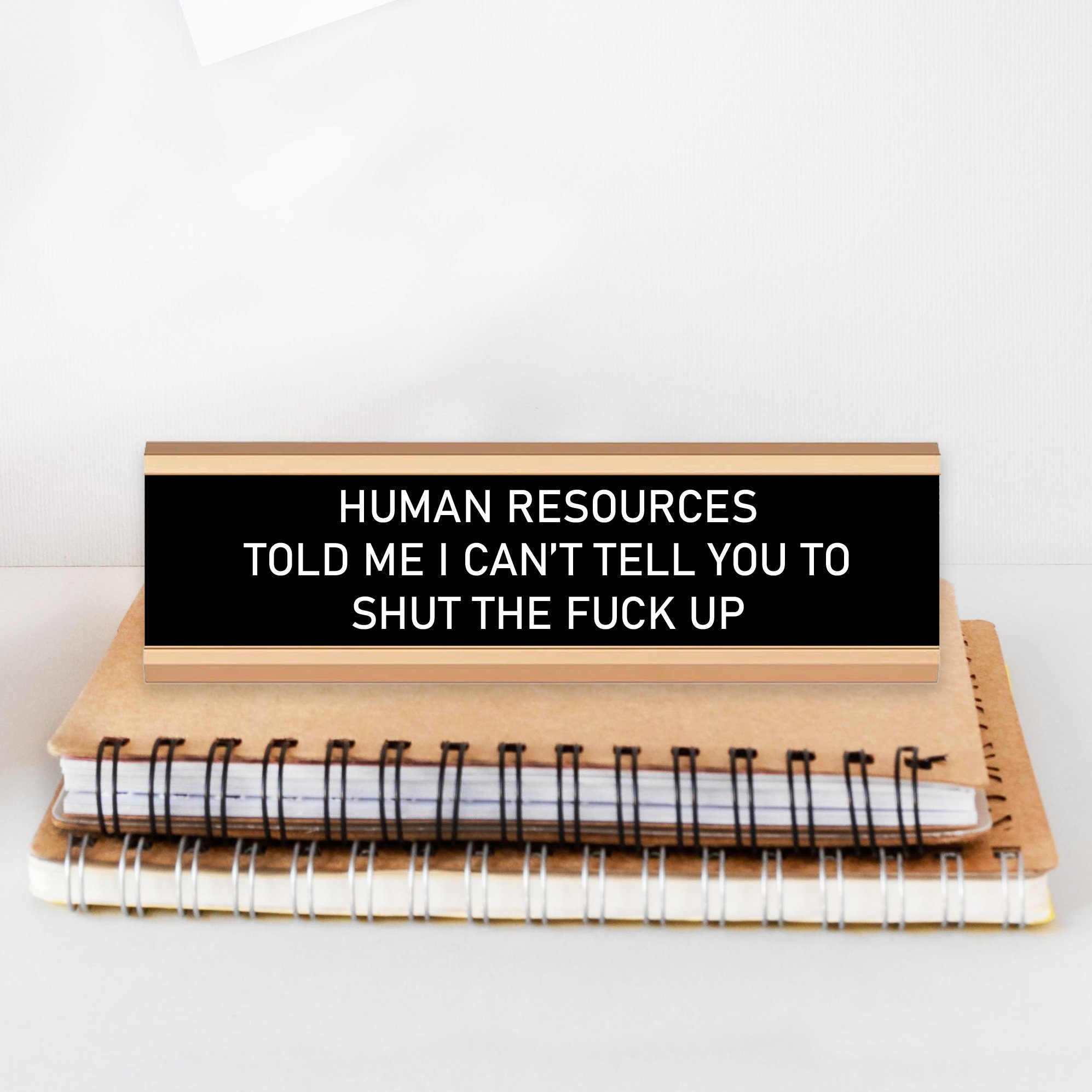 Funny Desk Name Plate, Desk Name Plate, Funny Office Decor, Gift for ...