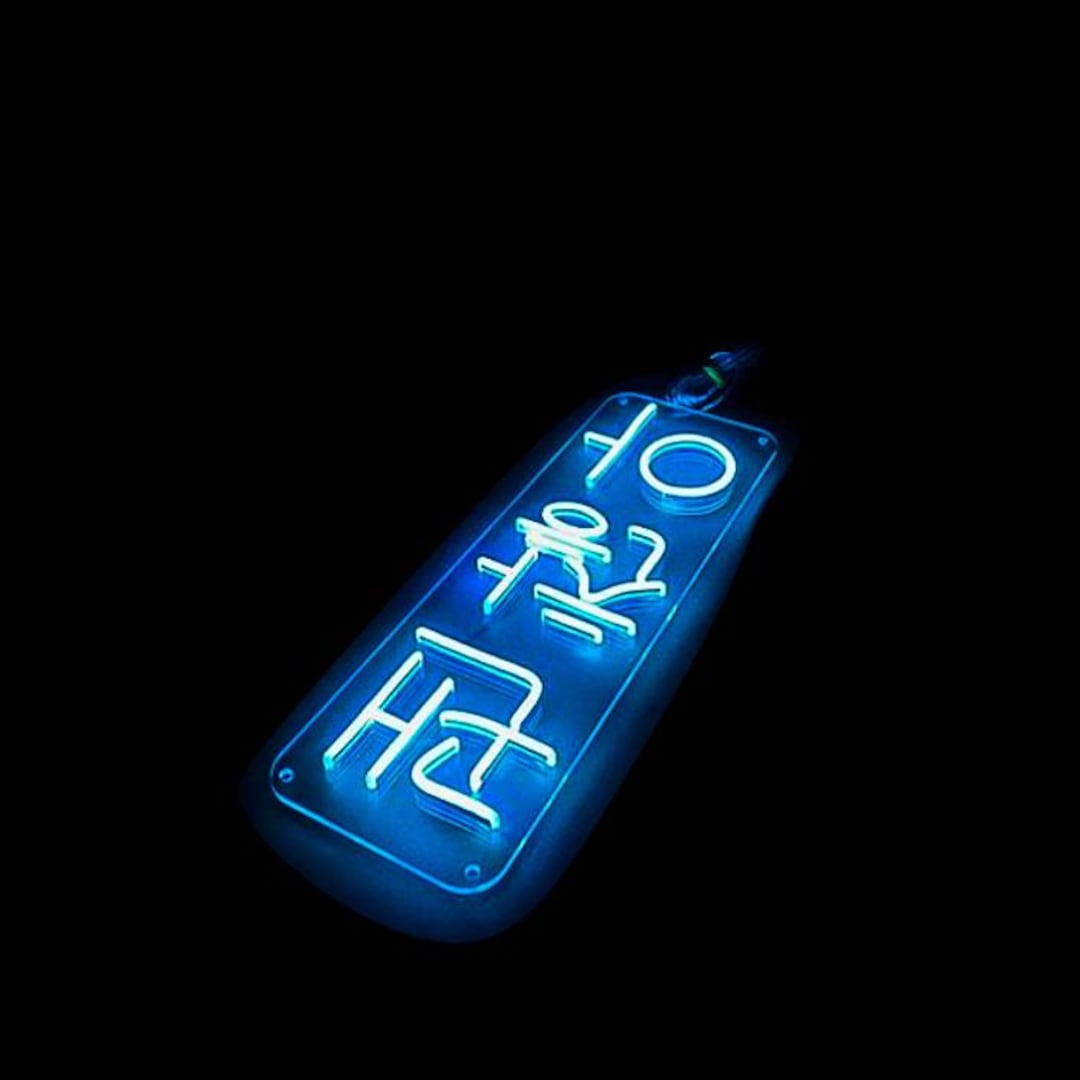 Chinese Neon Sign, Hieroglyphs Neon Sign, Korean Characters Led Sign ...