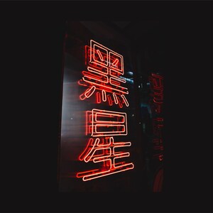 Chinese Hieroglyph Neon Sign, Japanese Neon Sign Wall Decor, Hieroglyph ...