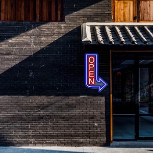 Neon Outdoor Open Sign Waterproof LED Neon for Businesses, Large ...