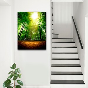 The Sacred Grove: the First Vision - Fine Art Photography Print - Etsy