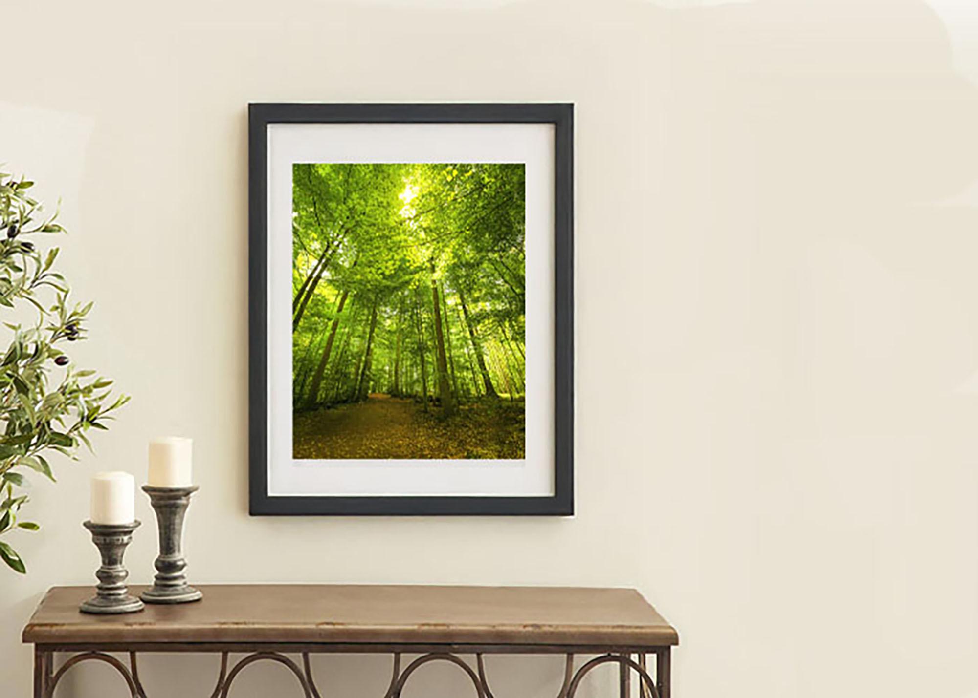 The Sacred Grove: Journey Through the Grove - Fine Art Photography ...
