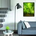 The Sacred Grove: Journey Through the Grove - Fine Art Photography ...