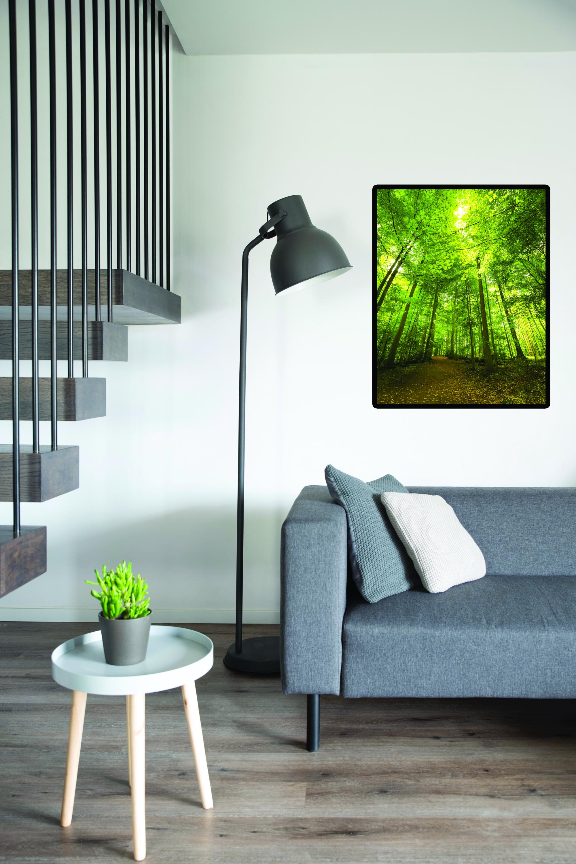 The Sacred Grove: Journey Through the Grove - Fine Art Photography ...