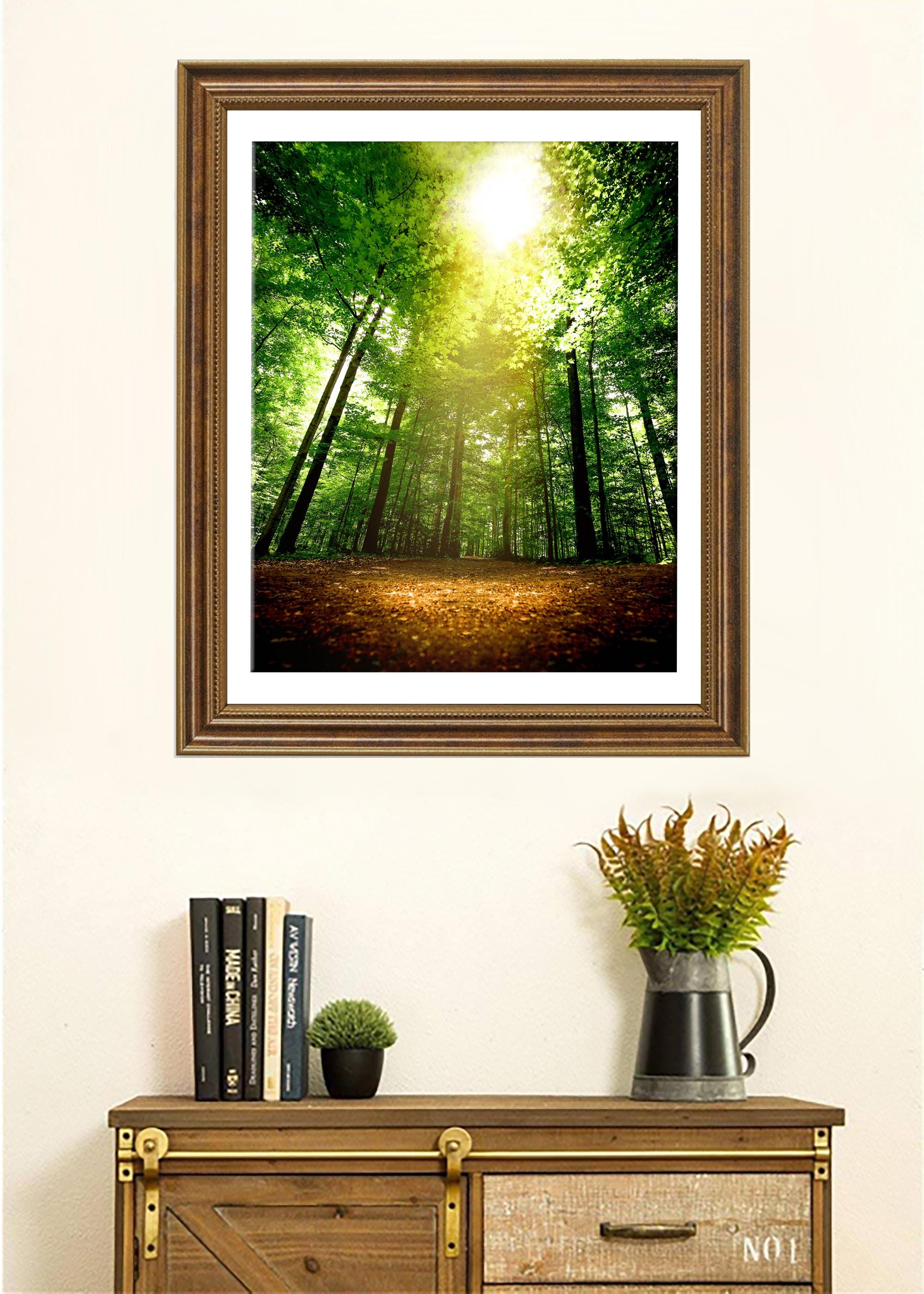 The Sacred Grove: the First Vision - Fine Art Photography Print - Etsy