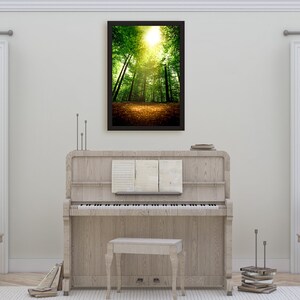 The Sacred Grove: the First Vision - Fine Art Photography Print - Etsy