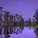 Twilight in the Swamp – Louisiana, Swamp, Sunset, Landscape Photo Print ...