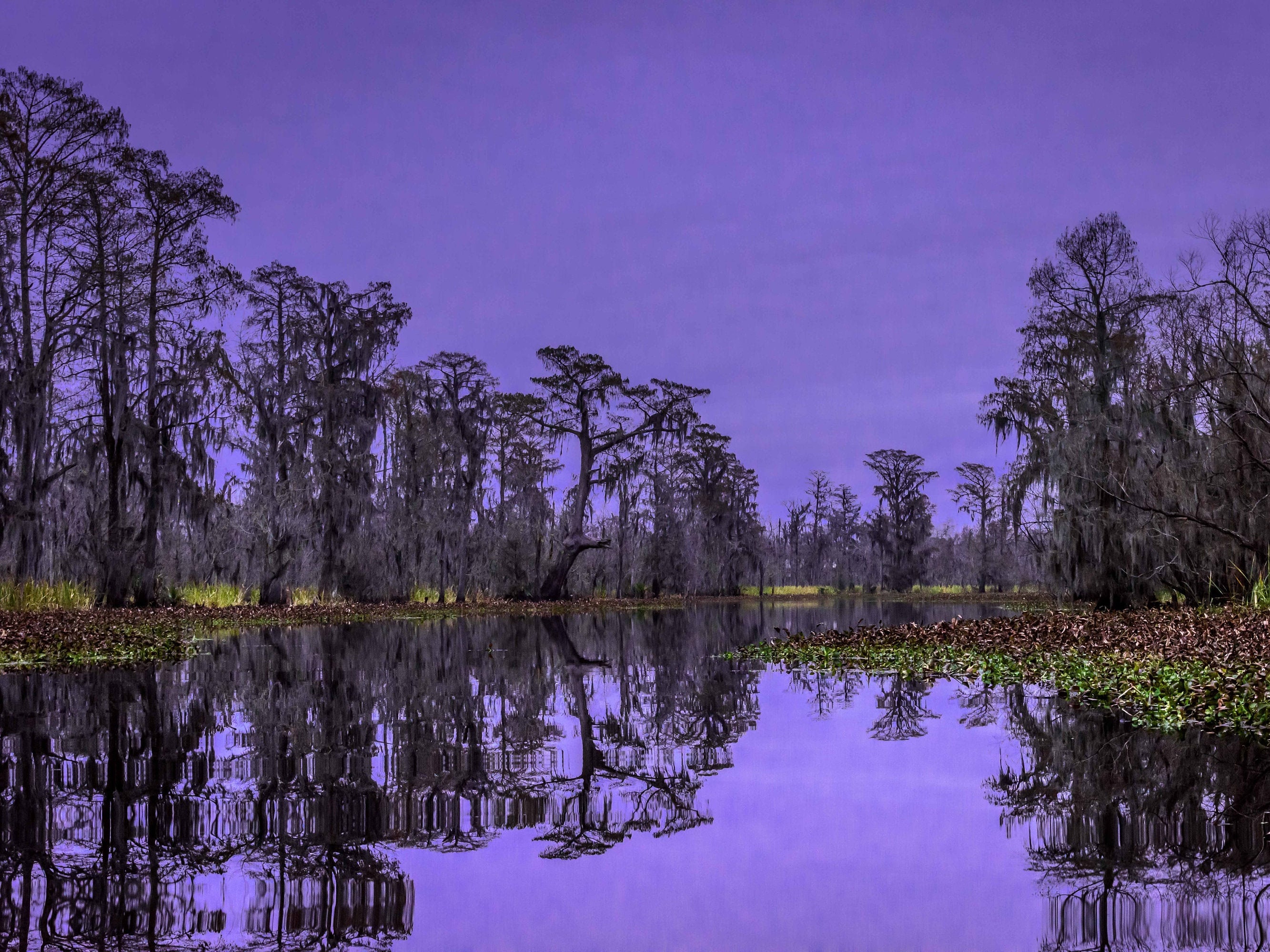 Twilight in the Swamp – Louisiana, Swamp, Sunset, Landscape Photo Print ...