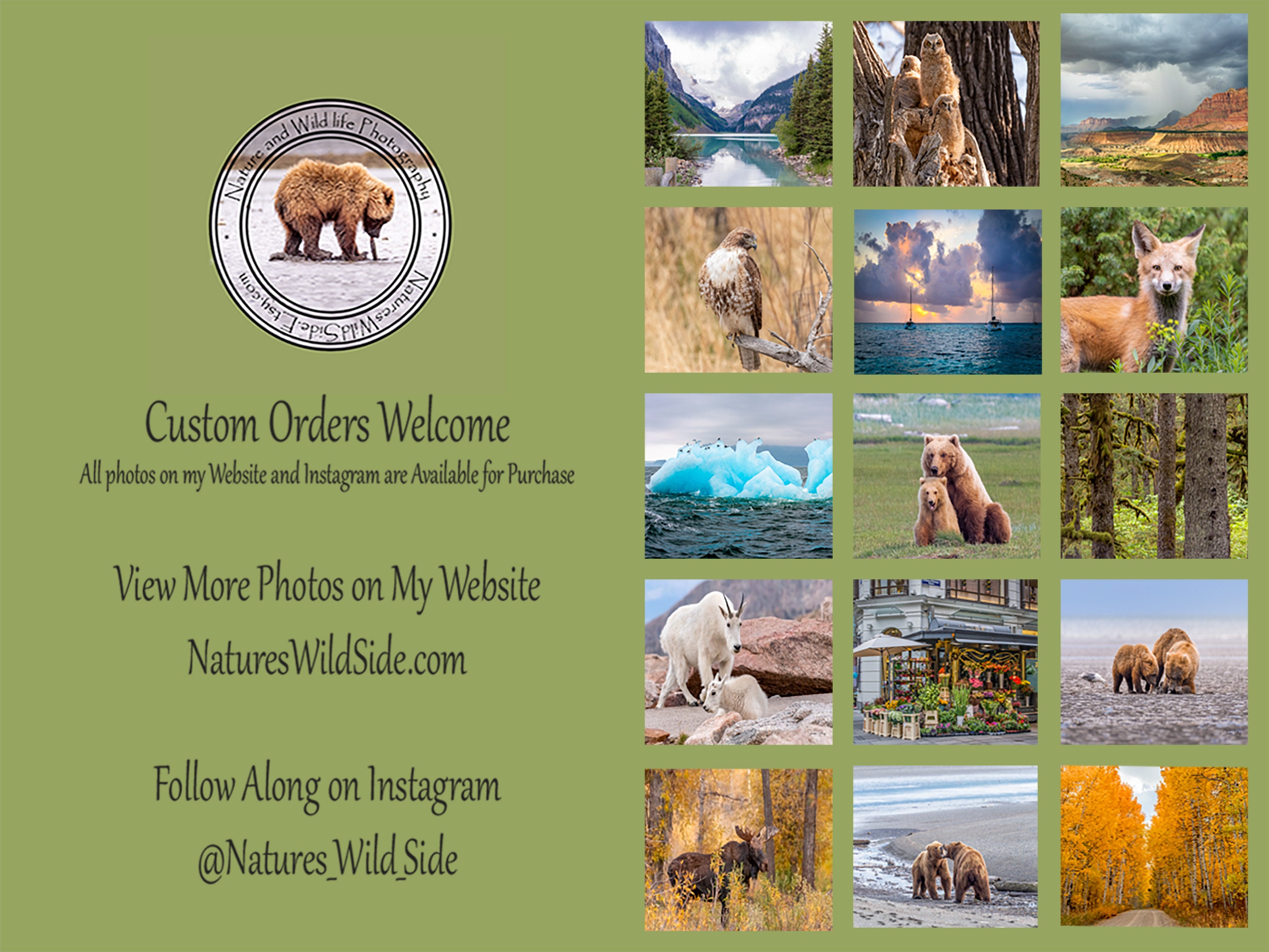 Bald Eagle Grabbing Fish – Stunning Wildlife Photography Print, Bird ...