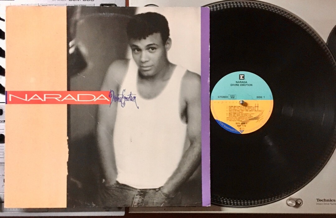 1988 Narada Divine Emotion Vinyl LP Album - Etsy