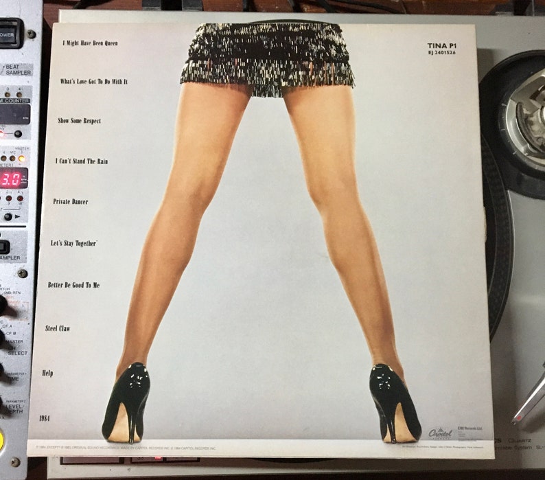 1984 Tina Turner Private Dancer , Vinyl, LP, Album, Picture Disc - Etsy