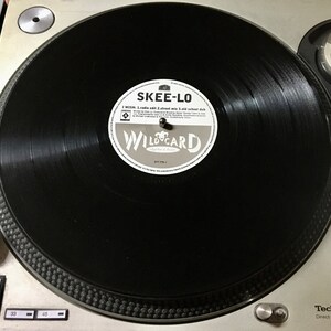 1995 Skee-lo - I Wish , Vinyl, 12", 33 RPM - Etsy