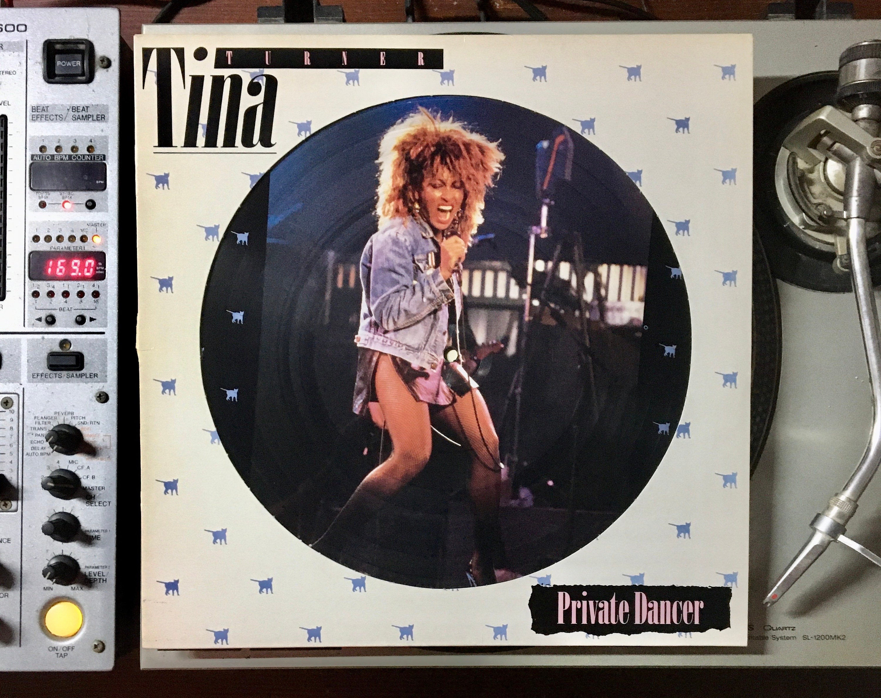 1984 Tina Turner Private Dancer , Vinyl, LP, Album, Picture Disc - Etsy