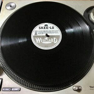 1995 Skee-lo - I Wish , Vinyl, 12", 33 RPM - Etsy
