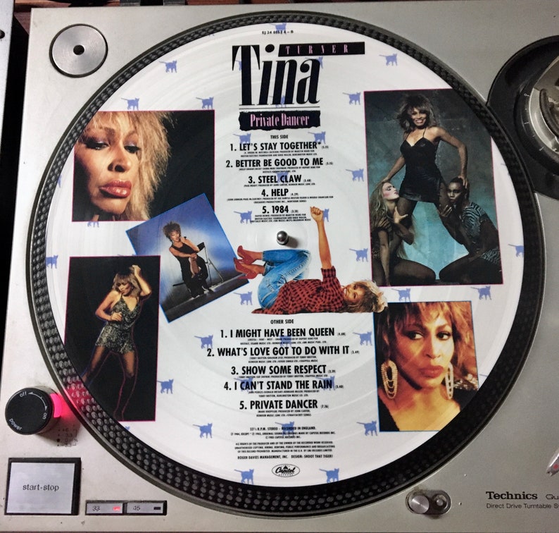 1984 Tina Turner Private Dancer , Vinyl, LP, Album, Picture Disc - Etsy