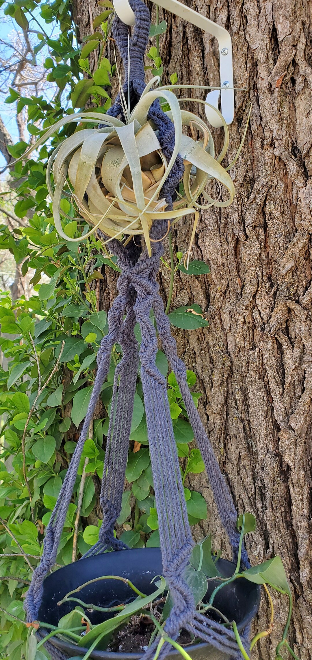 Macrame Plant Hanger, Air Plant Hanger, Holds Crystal Sphere - Etsy