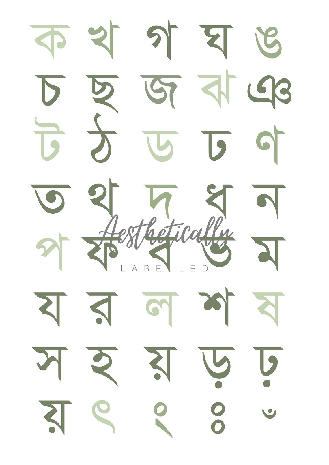 Bengali Alphabet Instant Download Digital Poster Four Colour Warm Boho ...