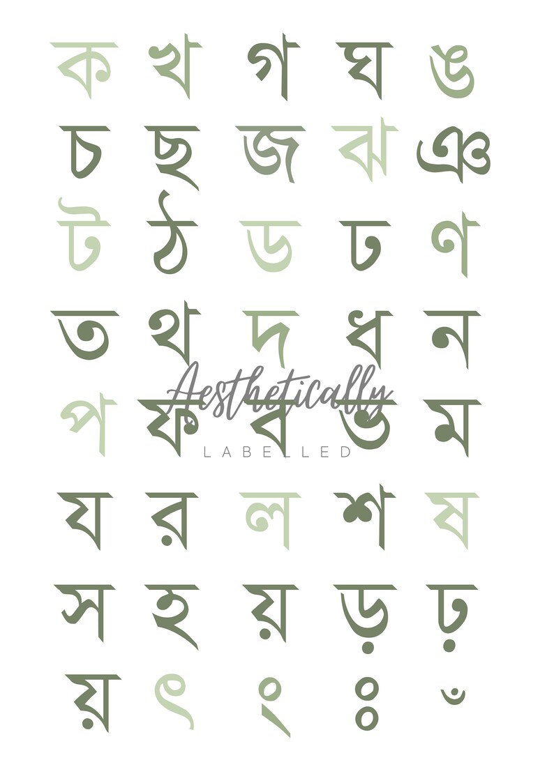 Bengali Alphabet Instant Download Digital Poster Four Colour Warm Boho ...