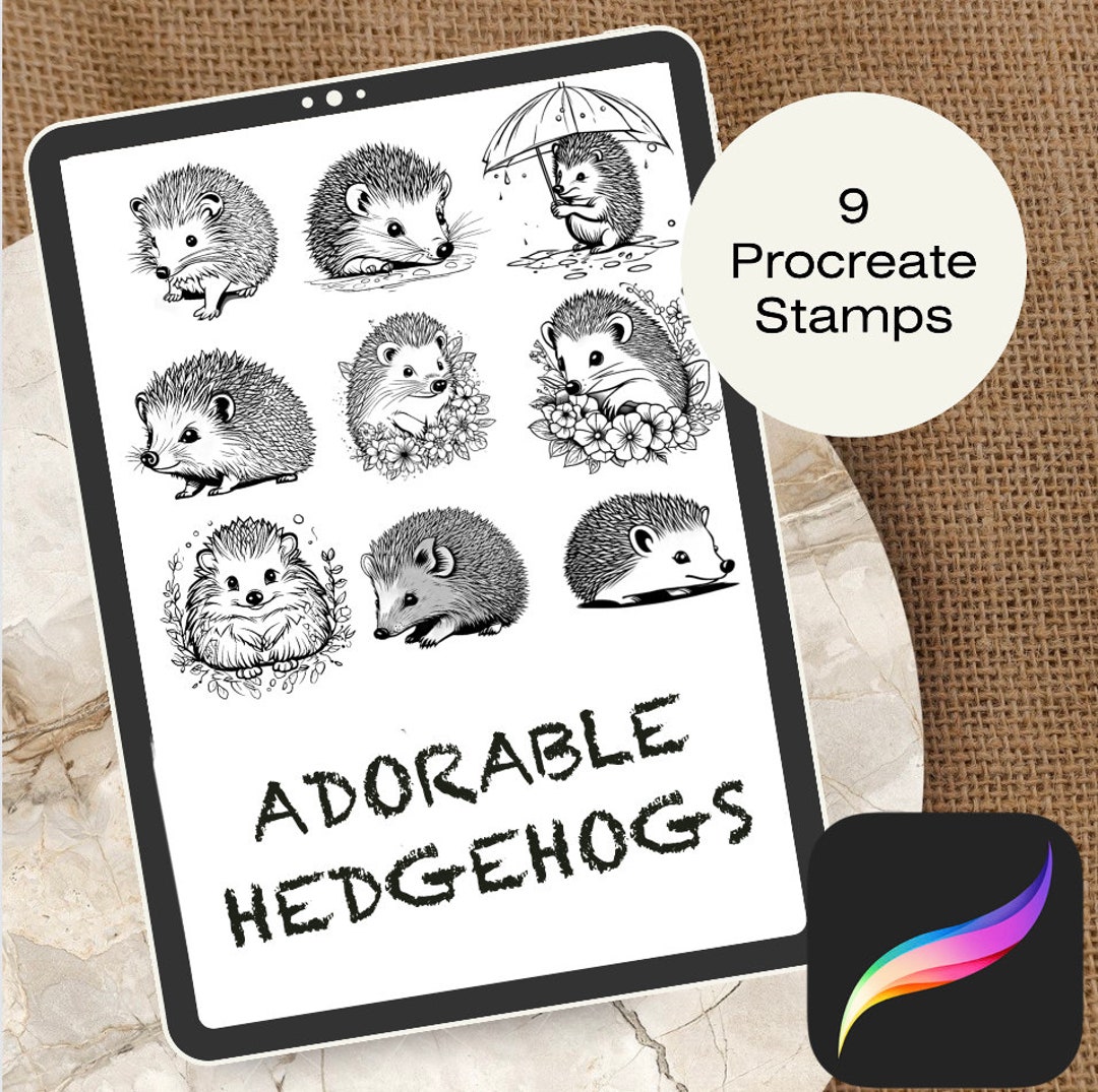 9 Adorable Hedgehog Procreate Stamps, Brushes Handmade Animal Stamp ...