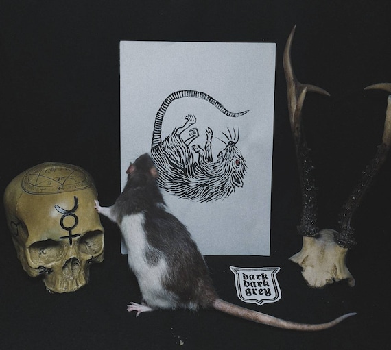 Falling Rat - Etsy