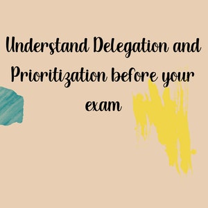 Nursing Delegation and Prioritization Cheat Sheet - Etsy