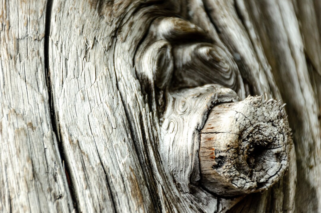 Knotty Wood Log - Etsy