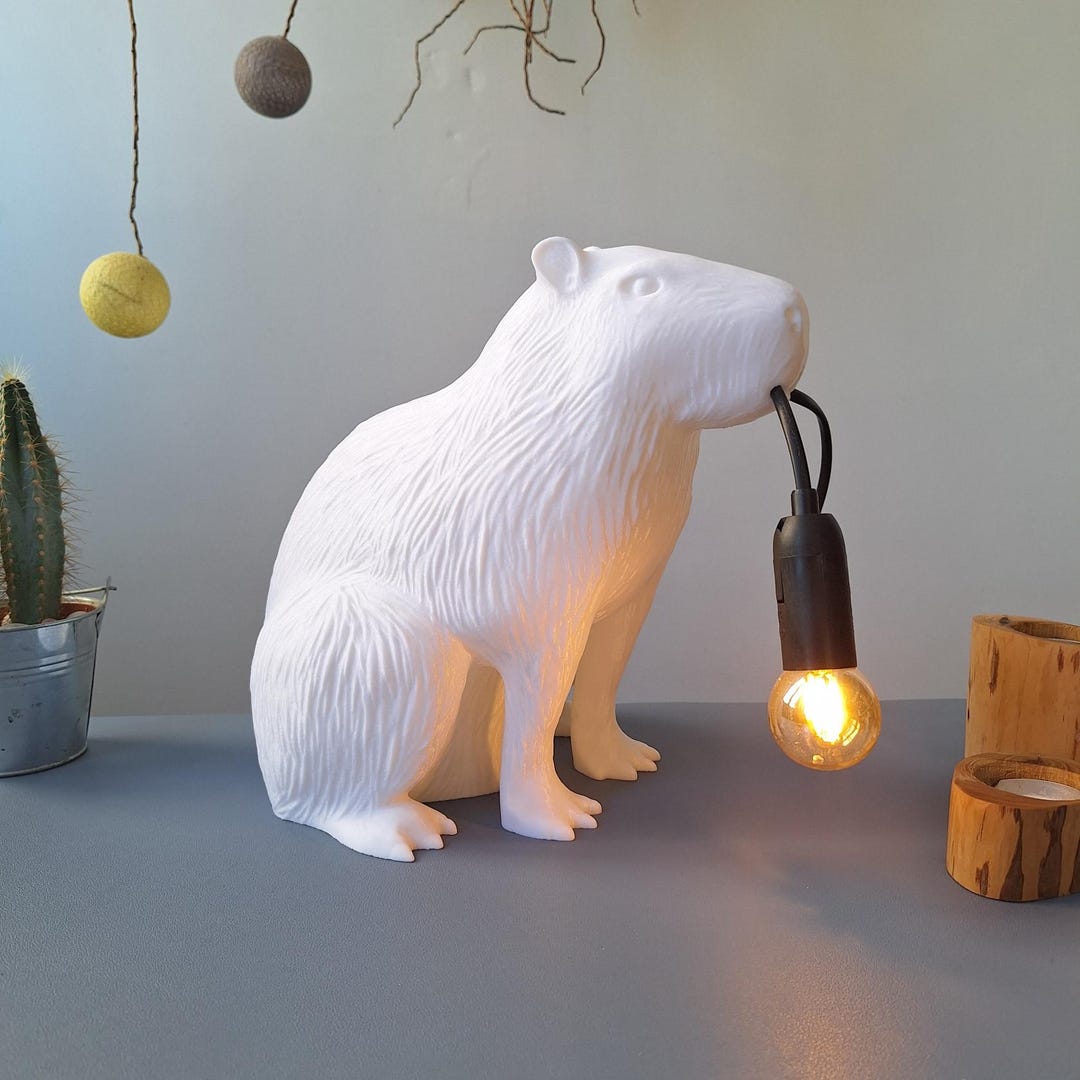 Capybara Table Lamp - Etsy