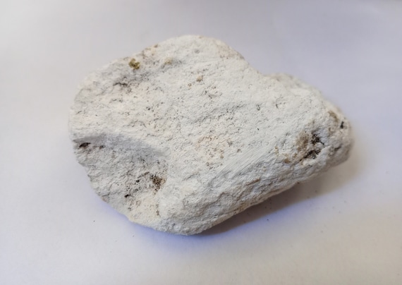 White Ambergris 42 Gram Best Pure White Ambergris Quality - Etsy