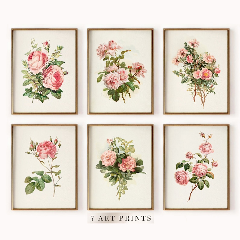 Pink Roses Print Set: Vintage English Cottage Art (digital Download) - Etsy