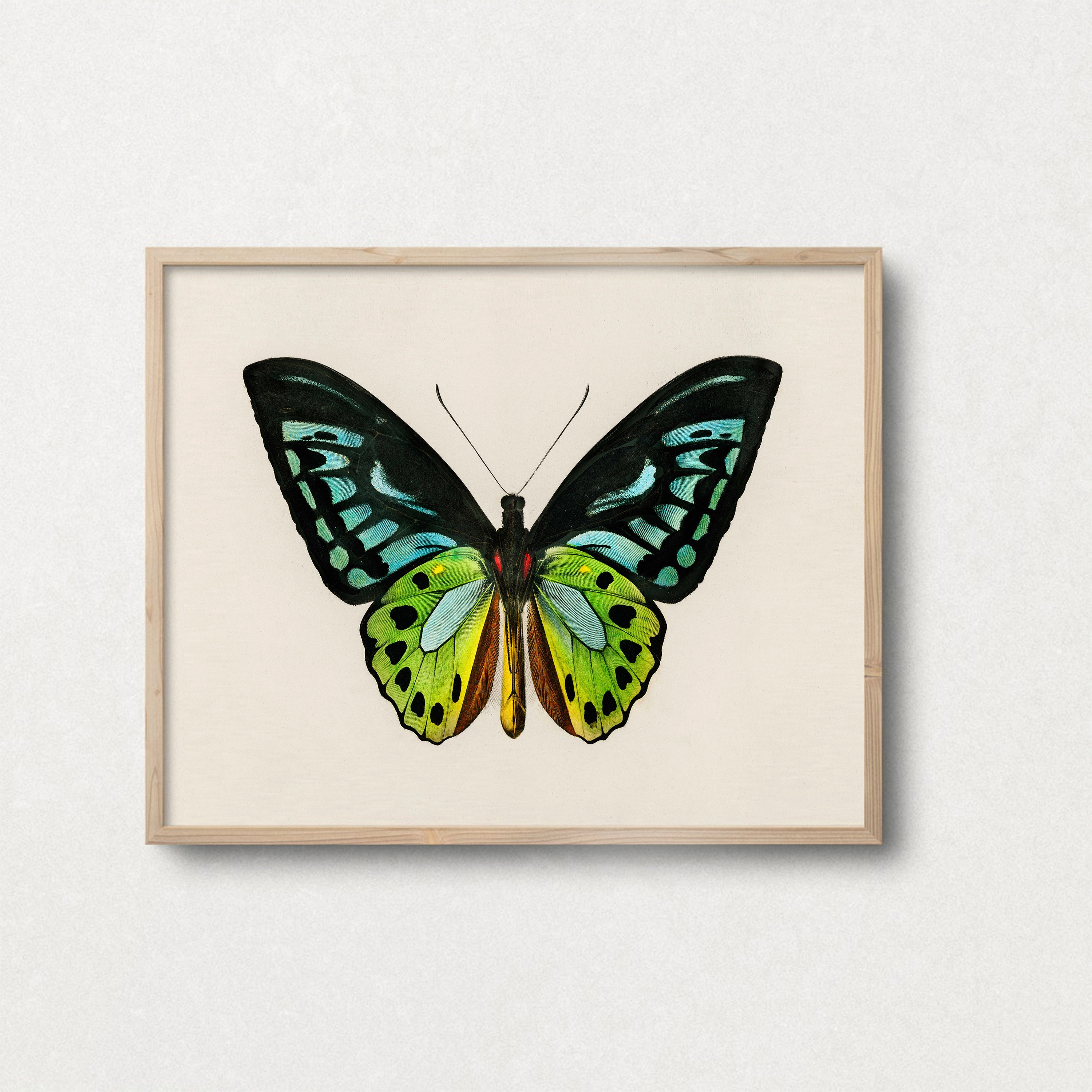 Eclectic Gallery Wall Art Print Set: Klimt, Van Gogh, Picasso (digital ...
