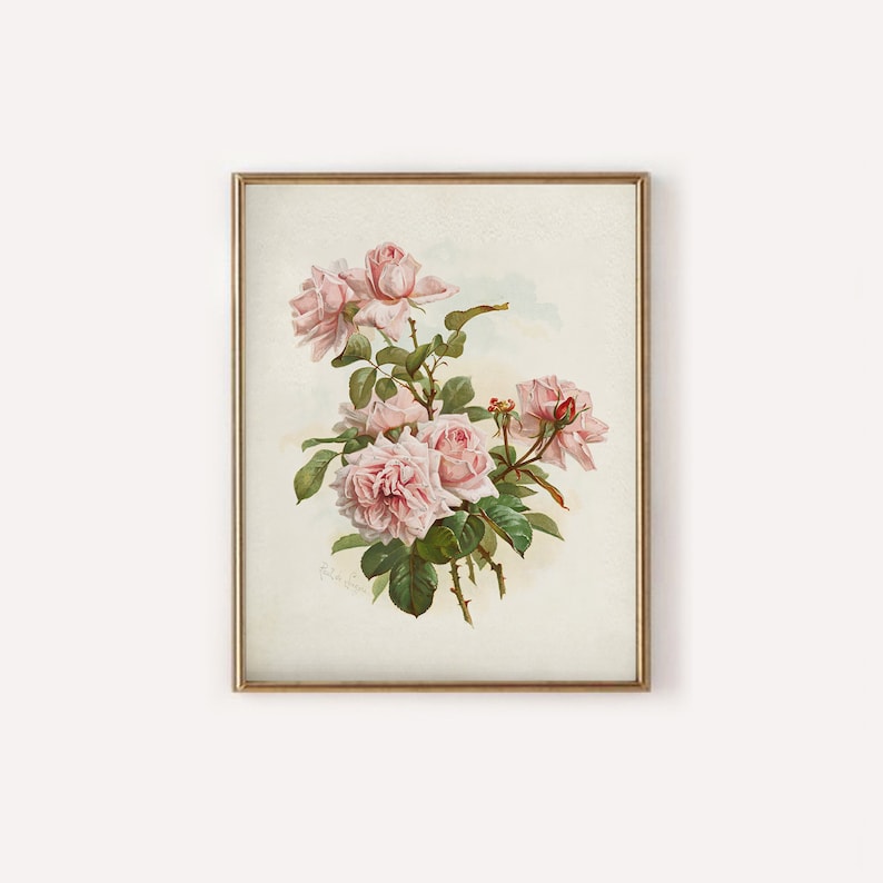 Pink Roses Print Set: Vintage English Cottage Art (digital Download) - Etsy