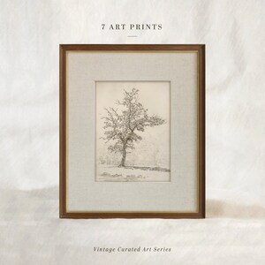 Vintage Tree Drawing, Rustic Tree Sketch, Antique Nature Drawing ...