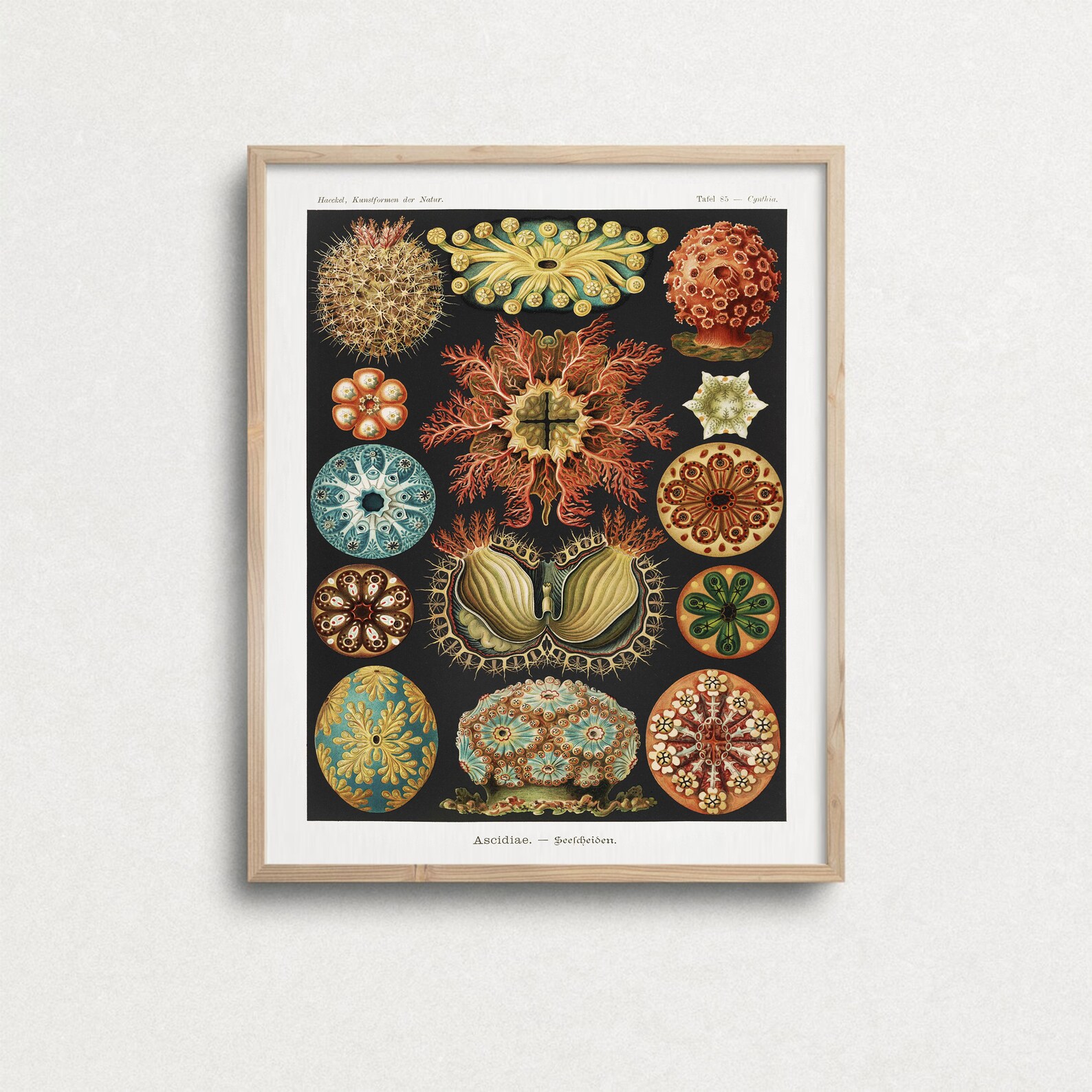 Gallery Wall Art Set of 6 Eclectic Print Set Vintage Wall - Etsy