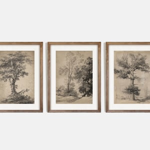 Gallery Wall Art Set of 3, Vintage Tree Sketch, Antique Tree Drawings ...