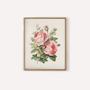 Pink Roses Print Set | Flower Art Set of 6 | English Cottage Wall Decor ...
