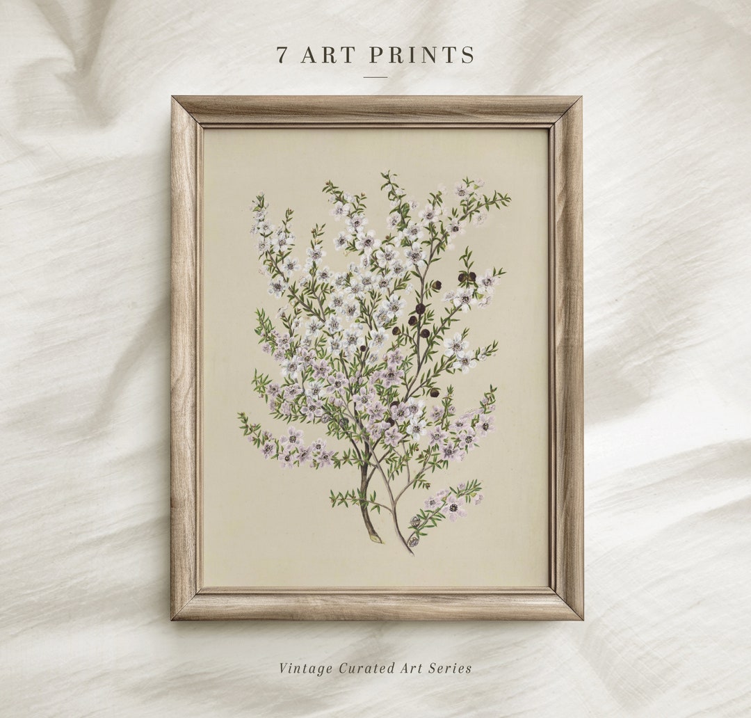 Vintage Flower Art Print, Botanical Wall Decor , Digital Download - Etsy