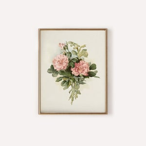 Pink Roses Print Set | Flower Art Set of 6 | English Cottage Wall Decor ...