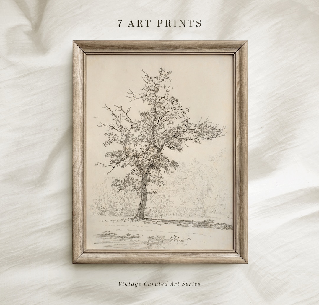 Vintage Tree Drawing, Rustic Tree Sketch, Antique Nature Drawing ...