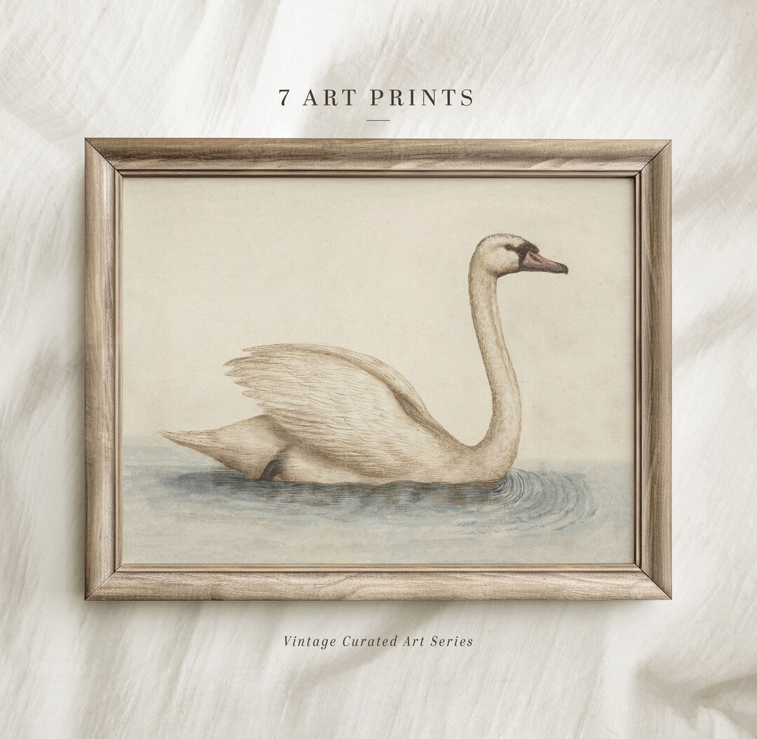 Vintage Swan Print: Neutral Farmhouse Nursery Wall Art (digital ...