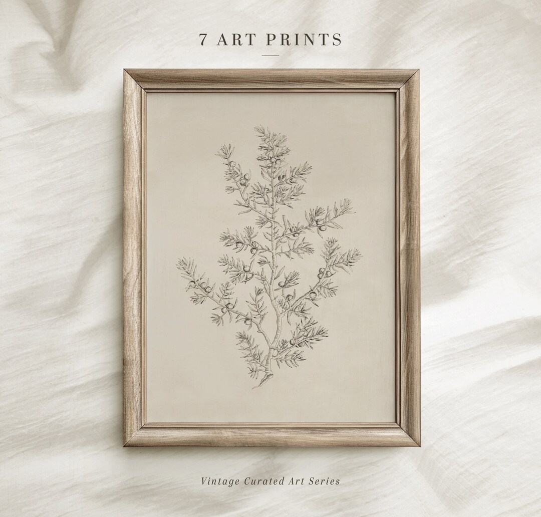 Vintage Tree Sketch Print, Olive Tree Wall Art, Neutral Etching ...